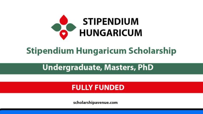 Stipendium Hungaricum Scholarship for International Students 2024 ...