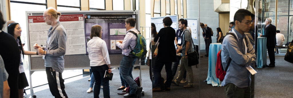 Hfsp Postdoctoral Fellowships Program 2024 Funded