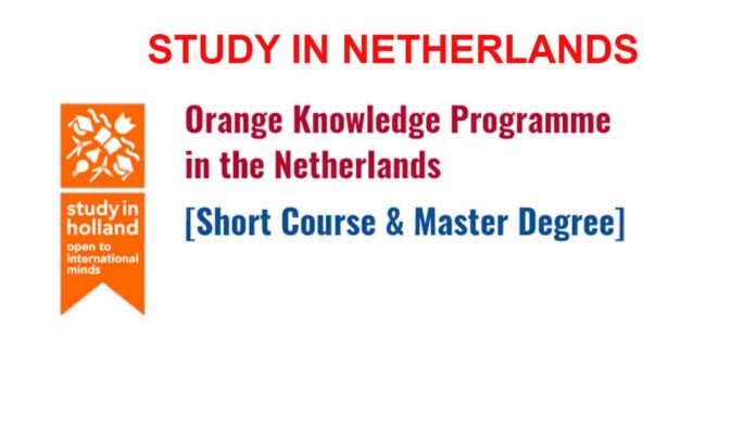 Orange Knowledge Programme Scholarship 2024-2025